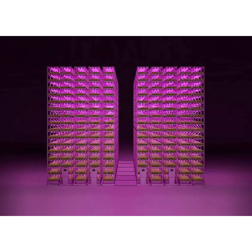 Vertical Farming Systems: High-Density Storage Solutions for Maximizing ... Vertical Farming Systems: High-Density Storage Solutions for Maximizing ...